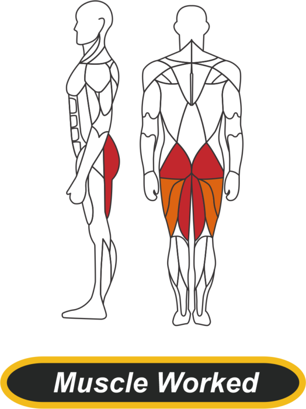 GS - 9022 Prone Leg Curl - Muscle Fit - Muscle Fit