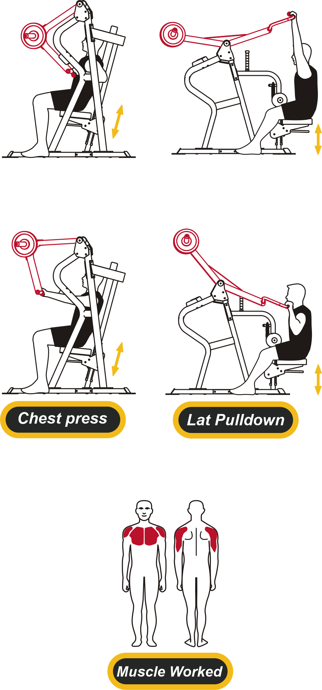 HS-7001 Lat Pulldown Chest Press Machine - Muscle Fit