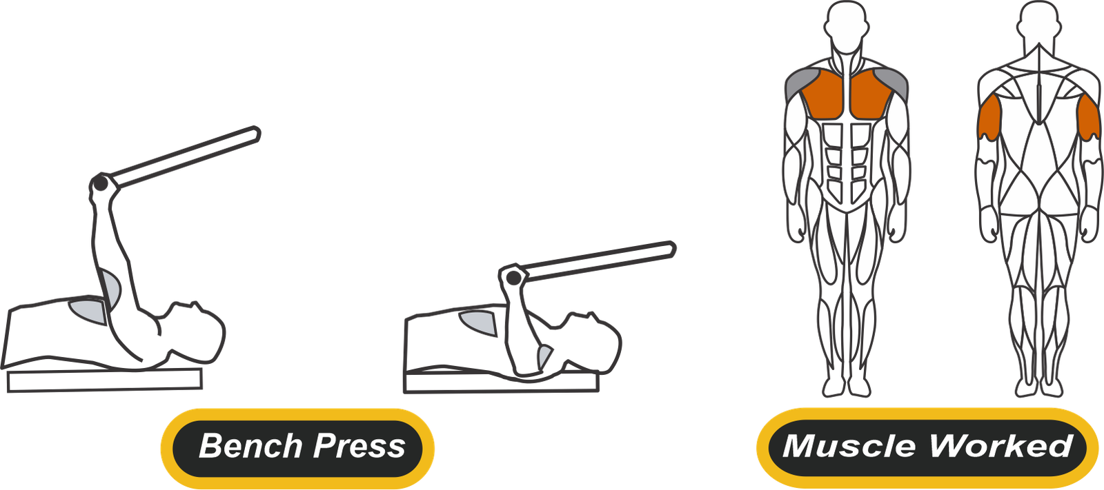HS-7002 Bench Press Machine - Muscle Fit